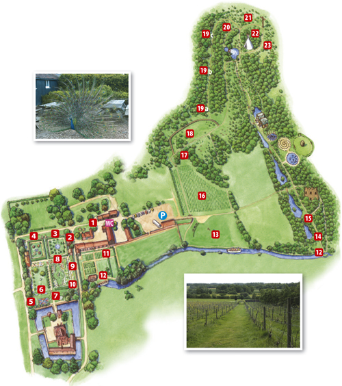 17世紀の庭園と冒険の森へ グルームブリッジ・プレースを征く [Groombridge Place] - Onlineジャーニー - Page #1